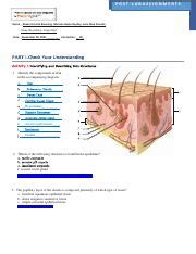 Chapter Integumentary System BSN B Pdf POST LABASSIGNMENTS Name Rhean Lizzette Banusing