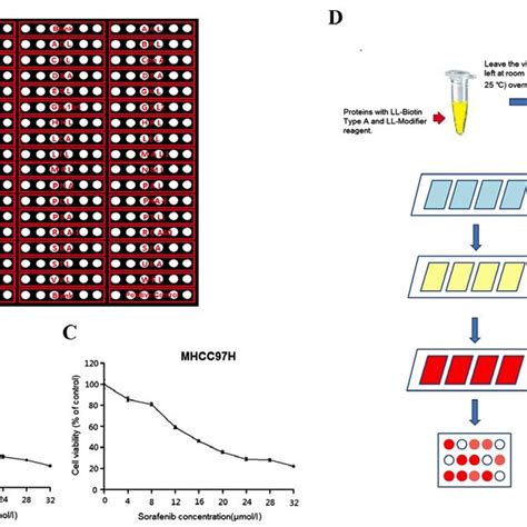 lectin microarray system and effect of sorafenib on cell viability of