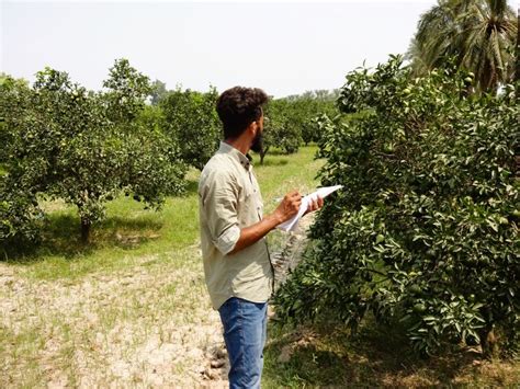 Farhan Ali On Linkedin Finalyearproject Agriculture Ai Innovation Realworldsolutions