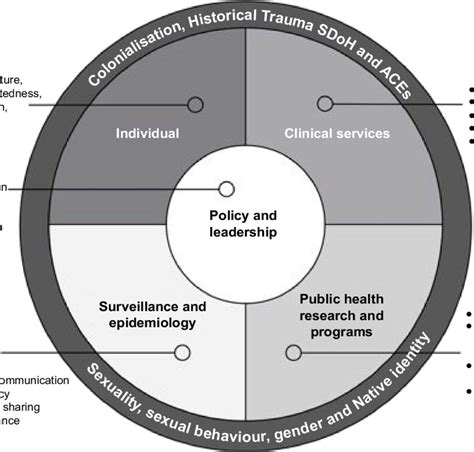 A Framework For Understanding The Context And Contributors To Sexual