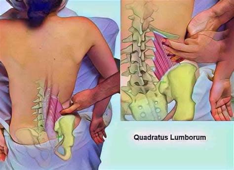 Уламжлалт анагаах ухаан Added A Уламжлалт анагаах ухаан