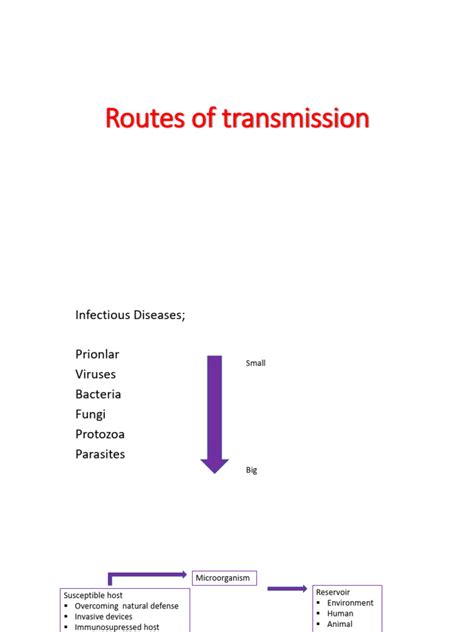 5 Routes Of Transmission Pdf Infection Health Sciences