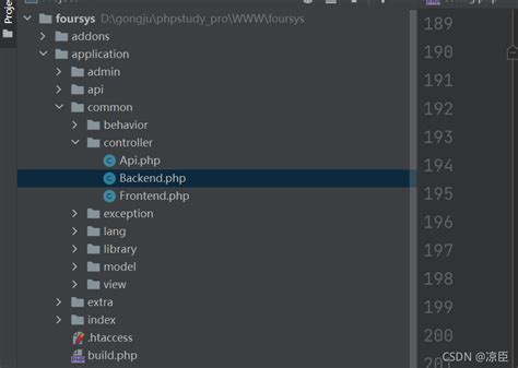 Fastadmin后端配置全局变量，前端js调用fastadmin 全局变量 Csdn博客