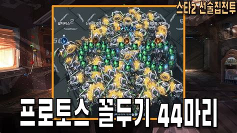 [스타 선술집 전투] 프로토스 꼴두기 44마리 Youtube