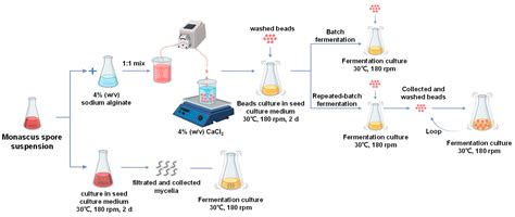 Monascus Yellow Pigment Production By Coupled Immobilized Cell