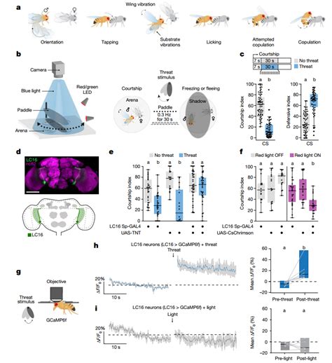 绘谱导读 中枢代谢调控最新研究赏析 技术前沿 资讯 生物在线