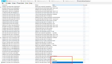 Bug 自定义字段值在数据库中的值存储有双引号，不应该带双引存储 · Issue 23121 · Metersphere