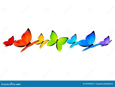 Rainbow Butterflies Vector Illustration 10716464