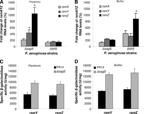 Sags Controls Rsmy And Rsmz Expression Under Planktonic But Not Biofilm Download Scientific