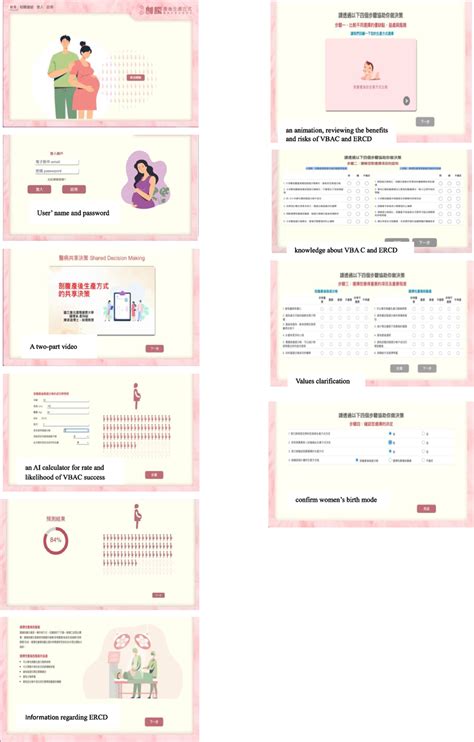 Web Based Decision Aid Platform Download Scientific Diagram