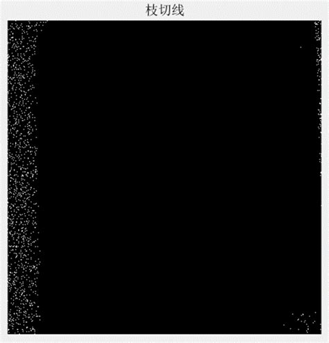 基于glodstein枝切法相位解包裹算法 相位解包 枝切法 csdn博客