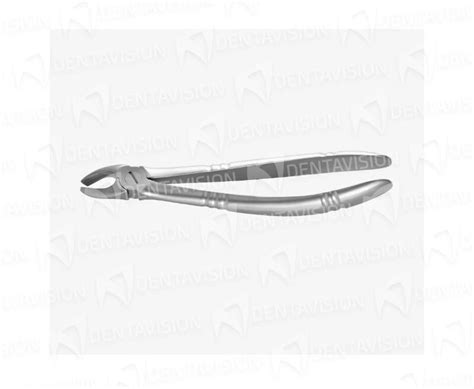 American Eagle Forceps 51a Upper Roots Dentavision