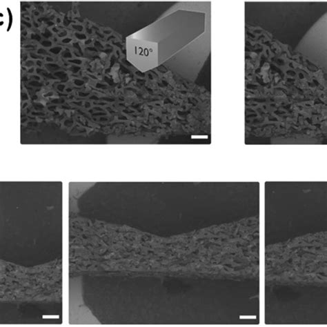 A Schematic Deformation Procedure Leading To A Bidirectional