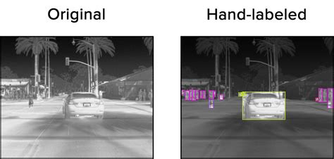 Thermal Vision Night Object Detection With Pytorch And Yolov5 Real