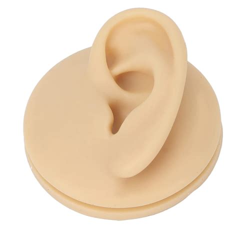 Soft Silicone Left Ear Simulation Model For Medical Teaching Ideal For Hearing Aid Display