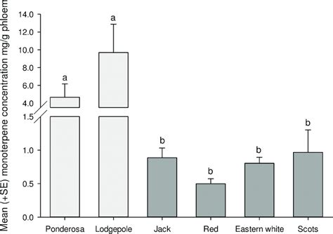 Total Mean Se Monoterpene Concentration Mgg Of Phloem Of Six