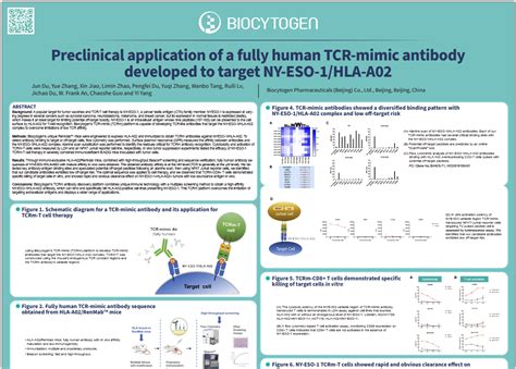 Sitc 2023 Preclinical Application Of A Fully Human Tcr Mimic Antibody Developed To Target Ny