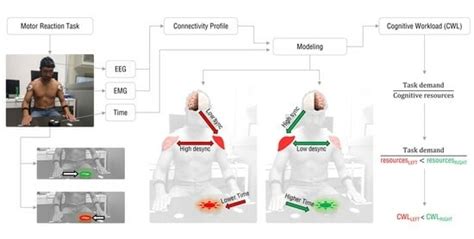 Sensors Free Full Text Assessing Cognitive Workload In Motor Decision Making Through
