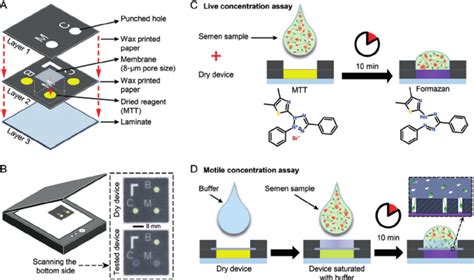 Schematic Of The Paper Based Semen Analysis Device And Protocol A Download Scientific