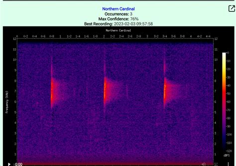 an automated bird recognition system using the raspberry pi physics