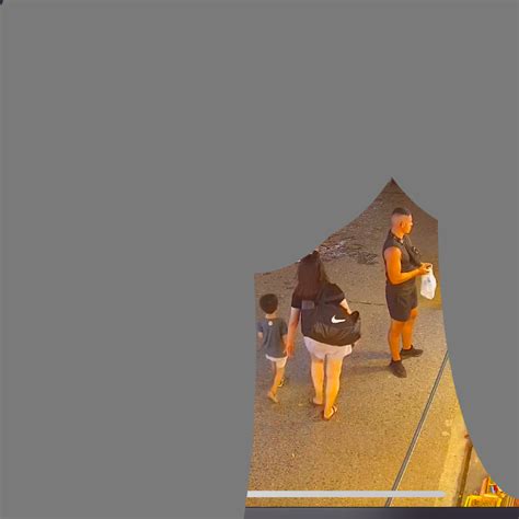 Merged Instance Segmentation Dataset And Pre Trained Model By Resp