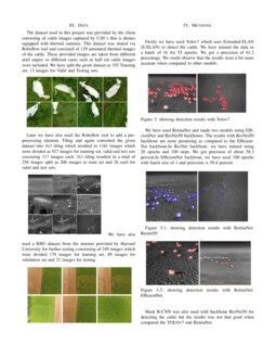 Cattle Detection Occlusion Problem DeepAI