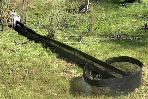 Using Tech To Break Bottlenecks In Wildlife Monitoring Natural