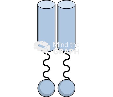 Free Toll Like Receptor Icons Symbols Pictures And Images Mind The