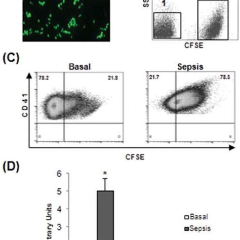 Platelets Obtained From Patients With Sepsis Have Higher Capability To