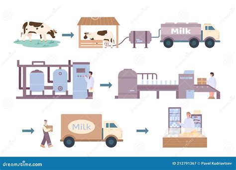 Process Of Milk Sterilization Milk Factory Conveyor Pouring And