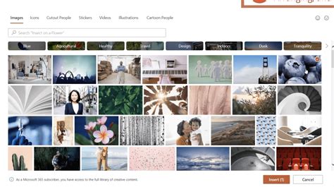 A Beginners Guide For Microsoft PowerPoint MyExcelOnline