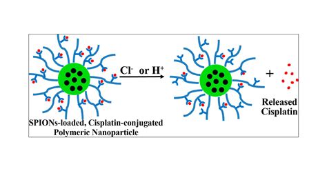 Polymeric Nanoparticles With Encapsulated Superparamagnetic Iron Oxide