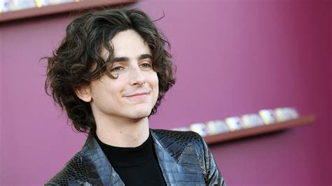 Fakta Unik Timothée Chalamet Fans Power Rangers Yang Pernah