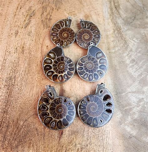 Untreated Brilliant Iridescent Fire Opalized Ammonite Fossil Specimen