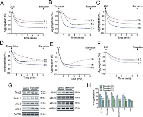 Decreased Platelet Aggregation Responses During Starvation Human