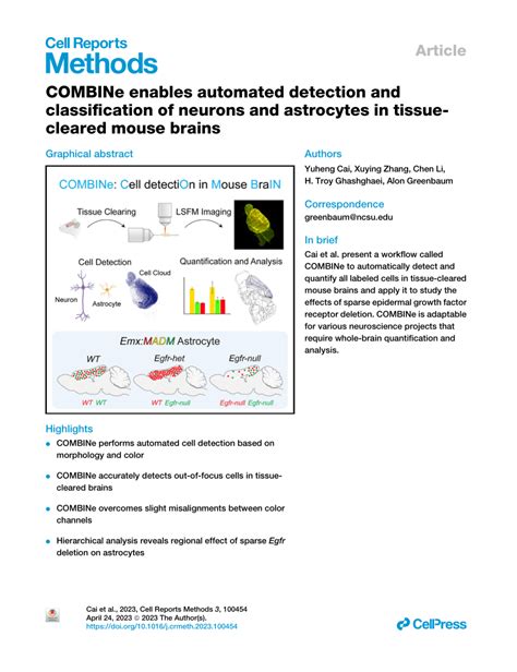 Pdf Combine Enables Automated Detection And Classification Of Neurons And Astrocytes In Tissue