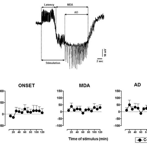 Bar Graph Shows The Ratio Of Neun Positive Neuron Number Dapi Number Download Scientific