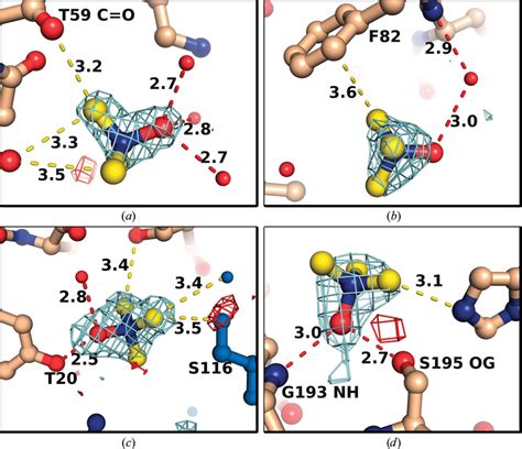 Examples Of Bound Tmao Molecules Red Oxygen Blue Nitrogen Yellow