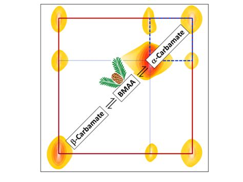 Two Dimensional Nmr Spectroscopy Plos One