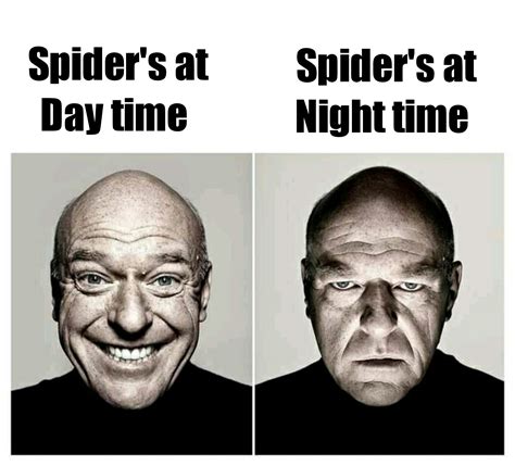 Made Before Scrolller