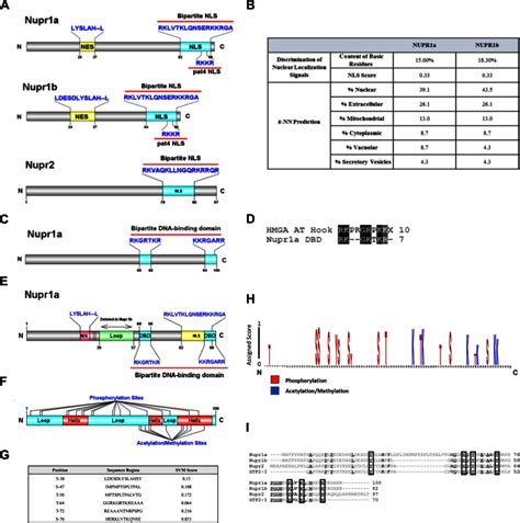 AiAssignment Of Potential Posttranslational Modification Sites Within