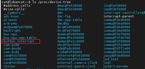 4 中断子系统实验 — [野火]嵌入式linux驱动开发实战指南——基于lubancat Rk系列板卡 文档