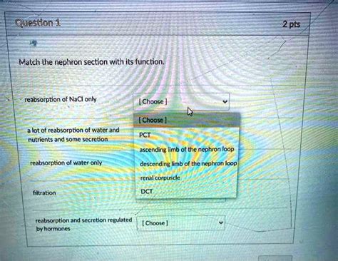 solved match the nephron section with its function reabsorption of