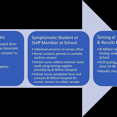 Process Map Of The Initial Proposed Testing Process Download