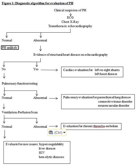 Pediatric Cardiology Pulmonary Hypertension Pulmonary Hypertension Introduction Diseases