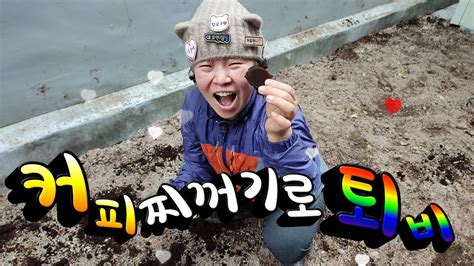텃밭 커피찌꺼기 퇴비 만들기 Youtube