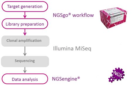 Ngsgo® Hla Typing Workflow On Illumina Platform Shiva Scientific Company