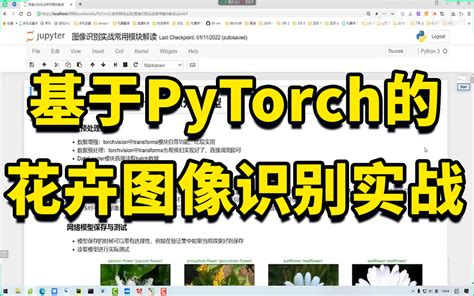 【毕设遇到救星了！】基于pytorch框架的花卉图像识别模型实战，计算机博士详细原理讲解 项目实战，看完就能跑通！ 李宏毅机器学习 李宏毅机器
