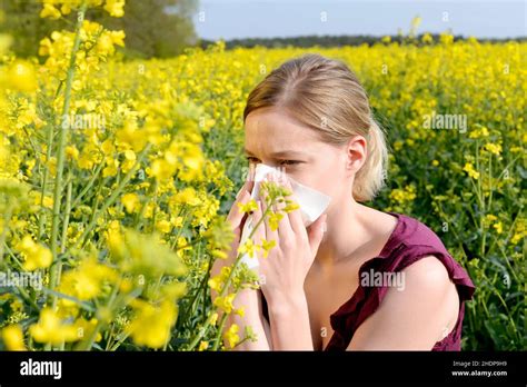 Pollen Pollen Allergy Blowing Nose Pollens Pollen Allergies Blowing Noses Stock Photo Alamy